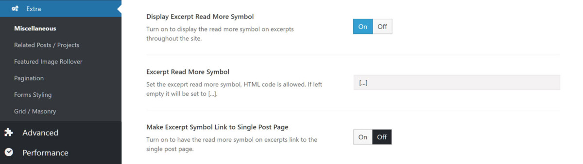 Excerpt Read More Symbol Options – Avada Website Builder
