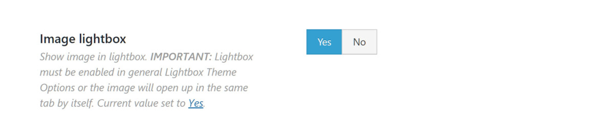 How To Use The Lightbox – Avada Website Builder