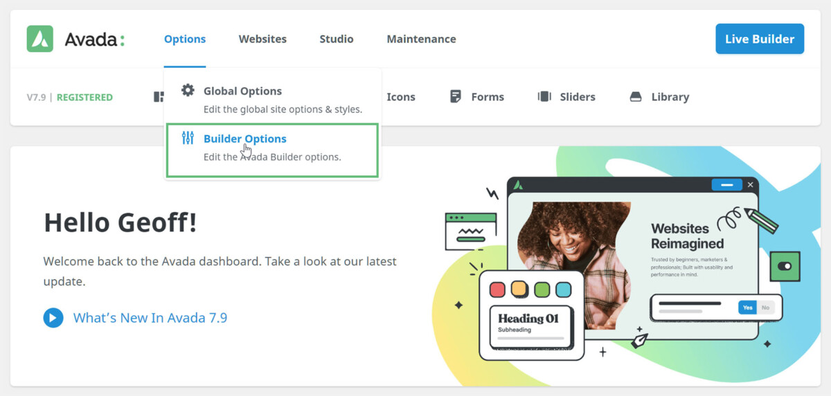 How To Use The Avada Builder Options – Avada Website Builder