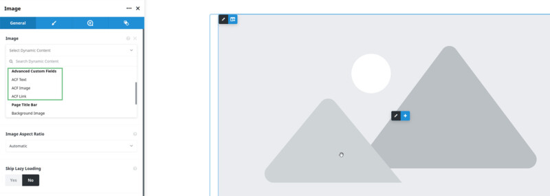 How To Use ACF Pro With Avada – Avada Website Builder