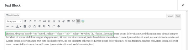 Dropcap Element – Avada Website Builder