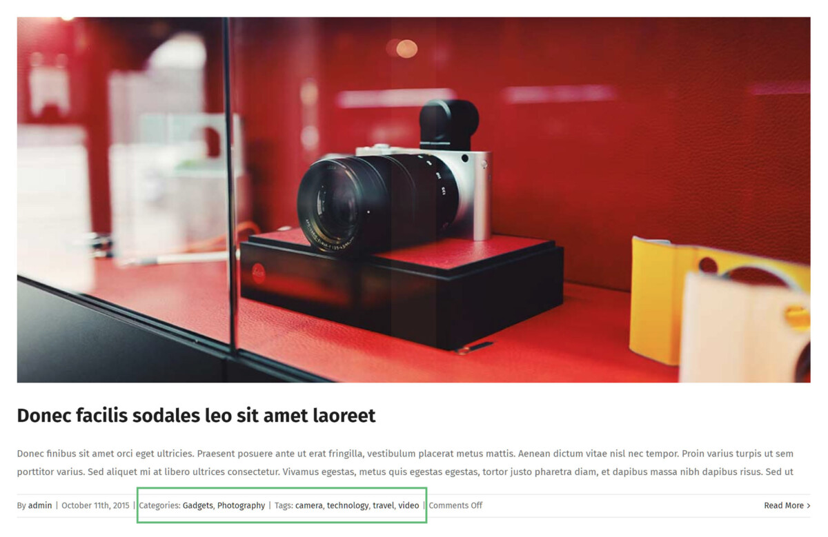 Blog Archive Pages – Avada Website Builder