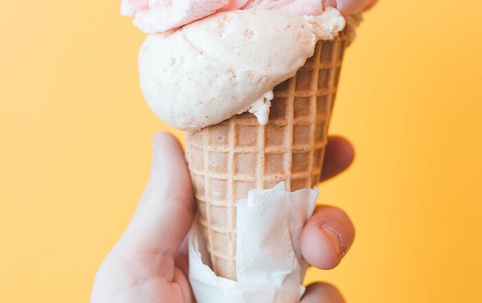 Gallery – Avada Website Builder