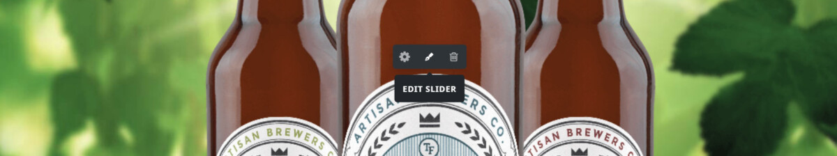 How To Use The Avada Slider – Avada Website Builder