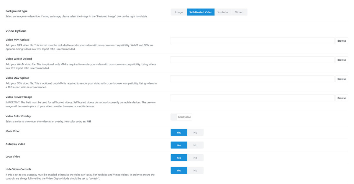 How To Use The Avada Slider – Avada Website Builder