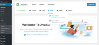 How To Use Avada Forms – Avada Website Builder