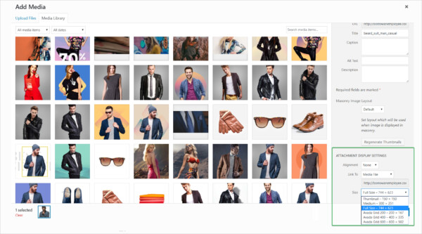 Image Format And Size Guide – Avada Website Builder