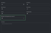 How To Use Conditional Logic In Avada Forms – Avada Website Builder