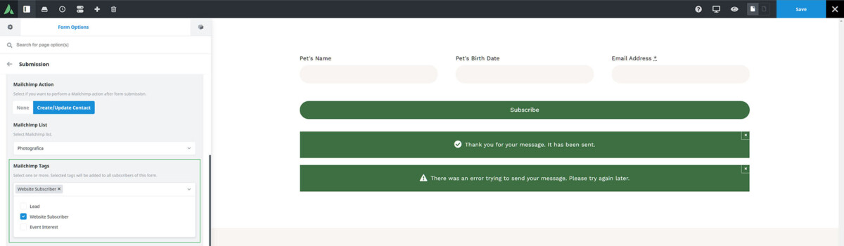 How To Use Mailchimp Tags With Avada Forms – Avada Website Builder