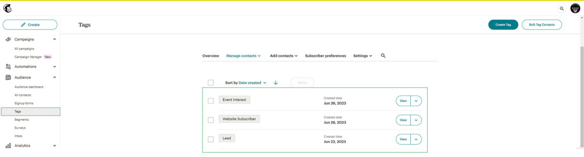 How To Use Mailchimp Tags With Avada Forms Avada Website Builder
