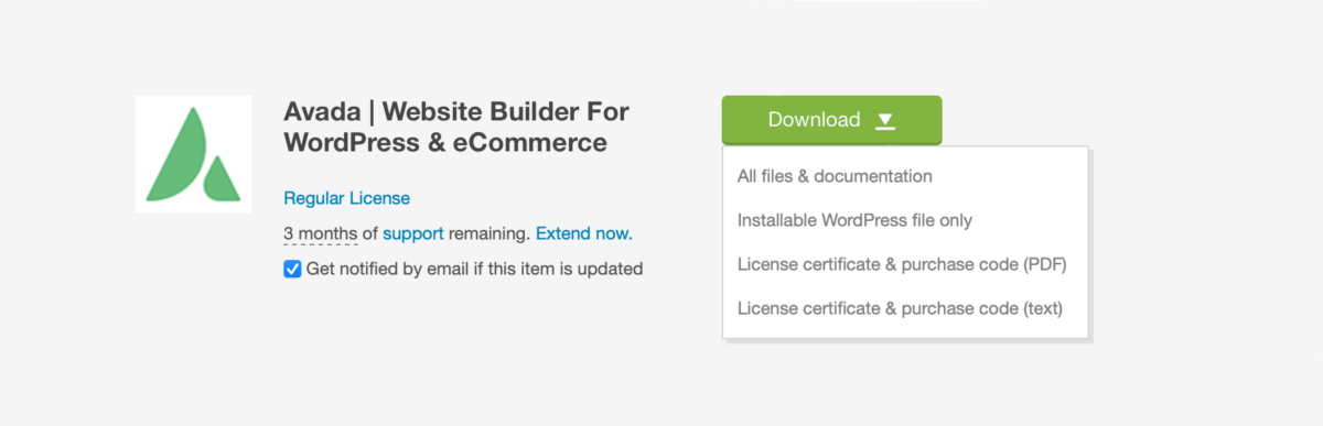 The Complete Guide to Updating Your WordPress Theme – Avada Website Builder